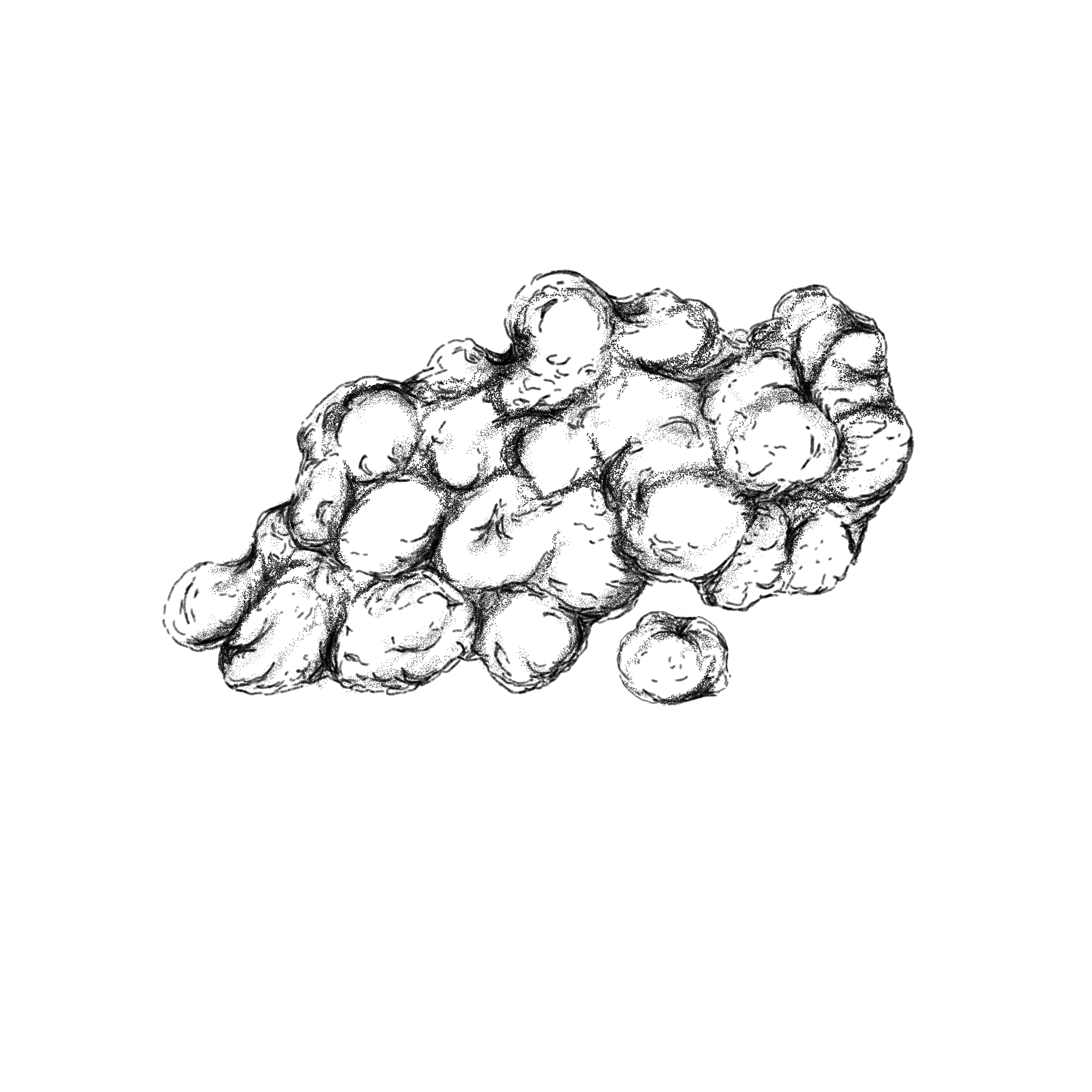 Purpose 50 – The House of Amouage