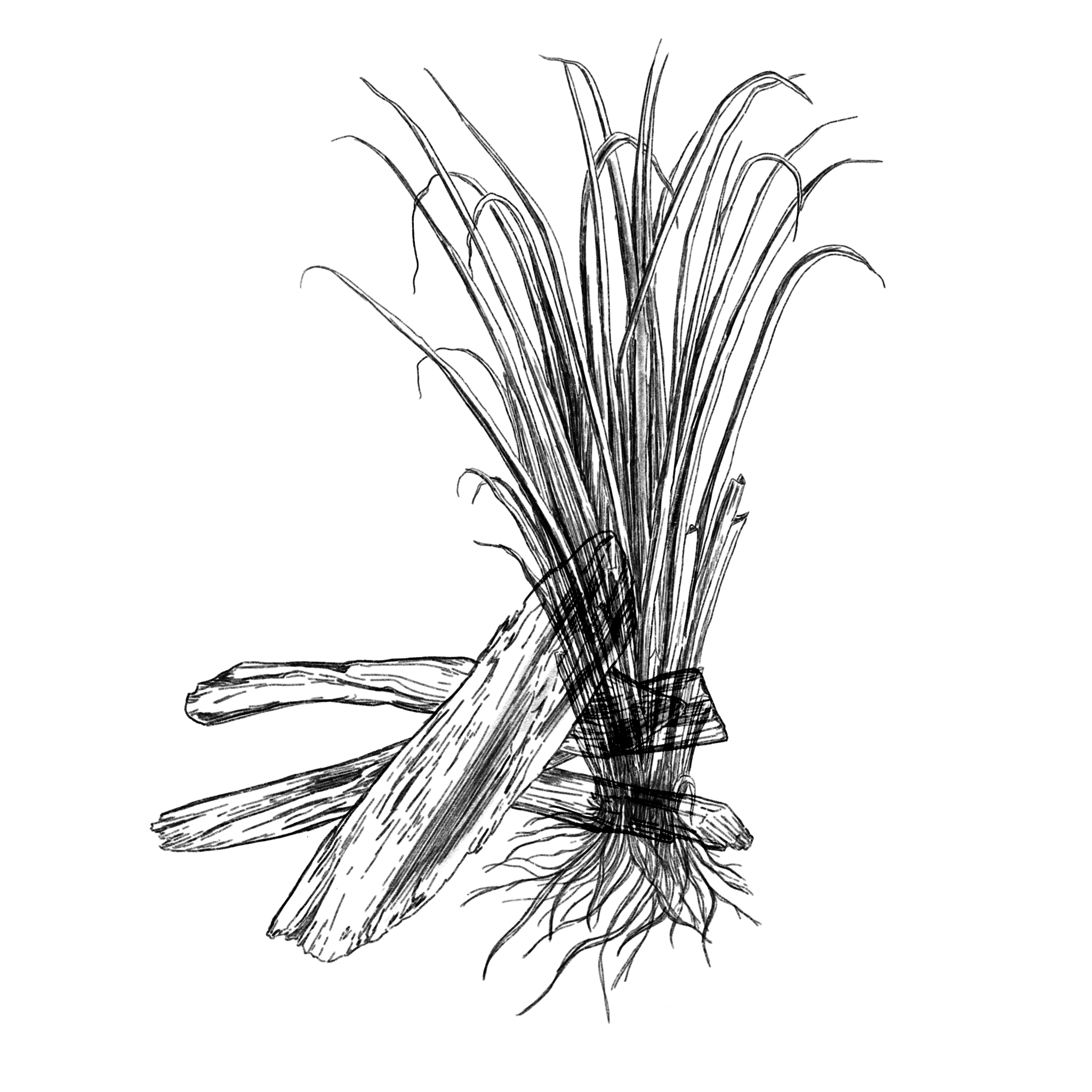 Purpose 50 – The House of Amouage